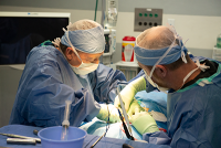 Osteophyte Treatment - Resection of Osteophytes